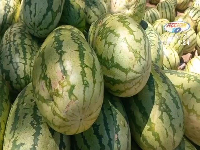 Aumenta la demanda de sandías en los mercados - Canal 10