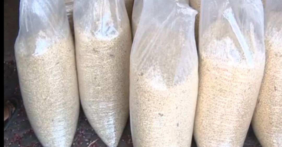 Mercado Oriental: quintal de maíz blanco baja 100 córdobas esta semana ...